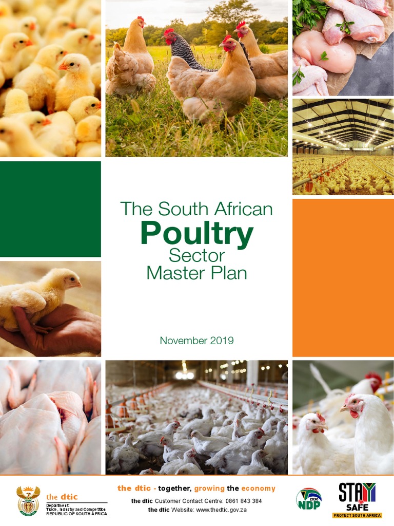 Poultry Sector Master Plan | PDF | Exports | Meat