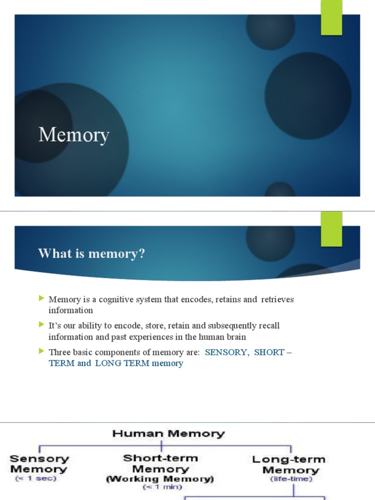 Memory | PDF | Memory | Recall (Memory)