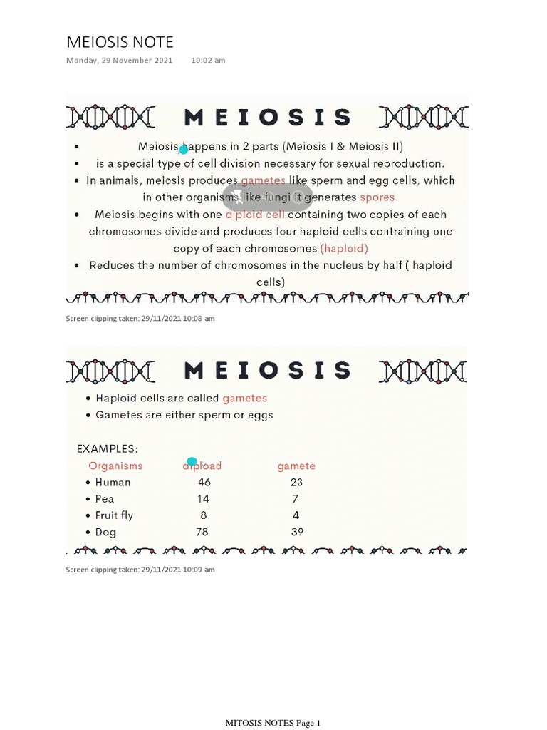 Meiosis Note | PDF | Mitosis | Meiosis