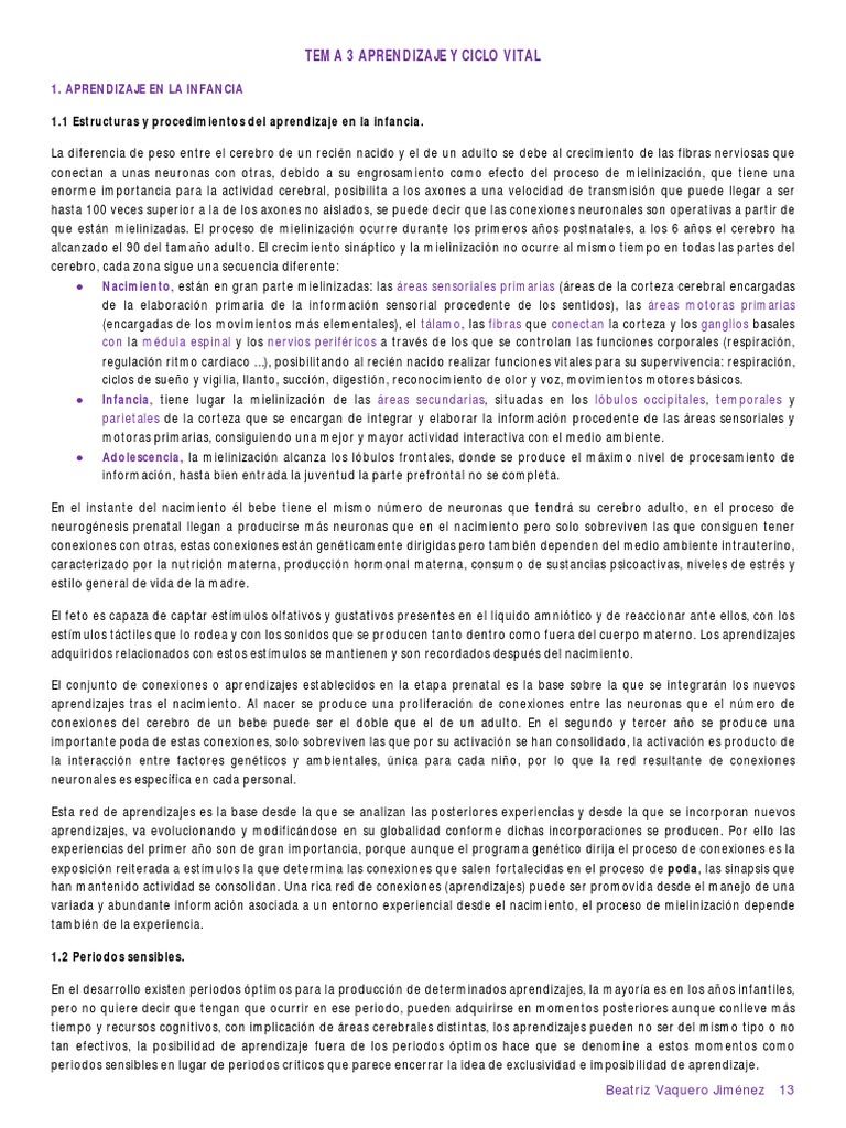 Tema 3 Aprendizaje Y Ciclo Vital Pdf Cerebro Aprendizaje