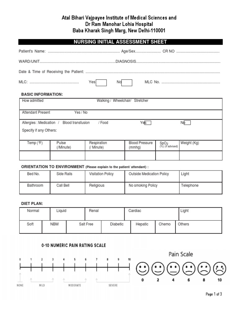 Nursing Initial Assessment Sheet | PDF | Pain | Nursing
