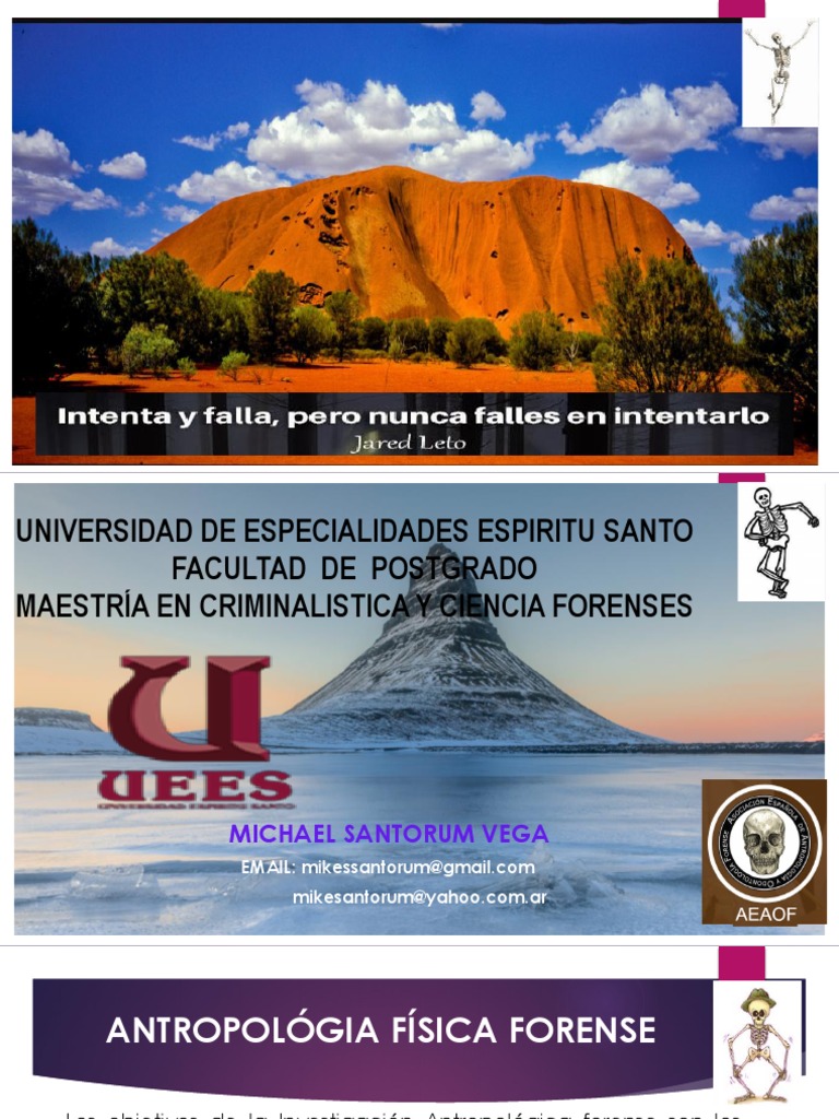 Anatomia Y Osteologia Humana Pdf Hueso Esqueleto