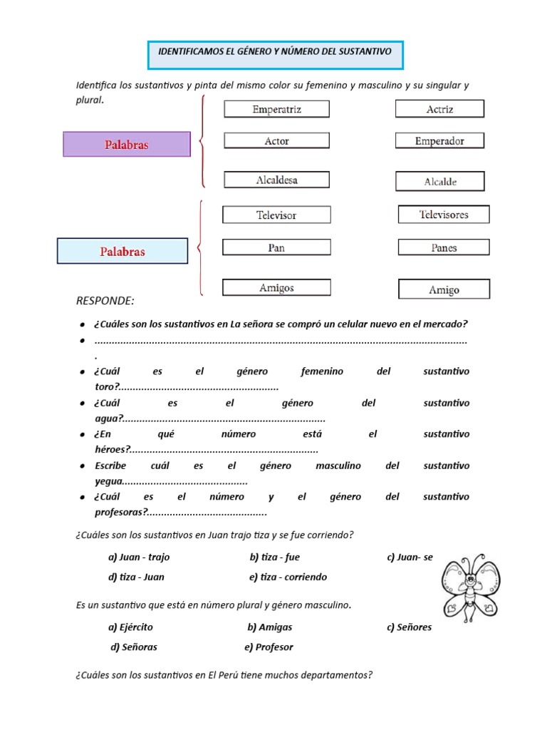Fichas Genero y Número | PDF | Sustantivo | Relaciones sintácticas