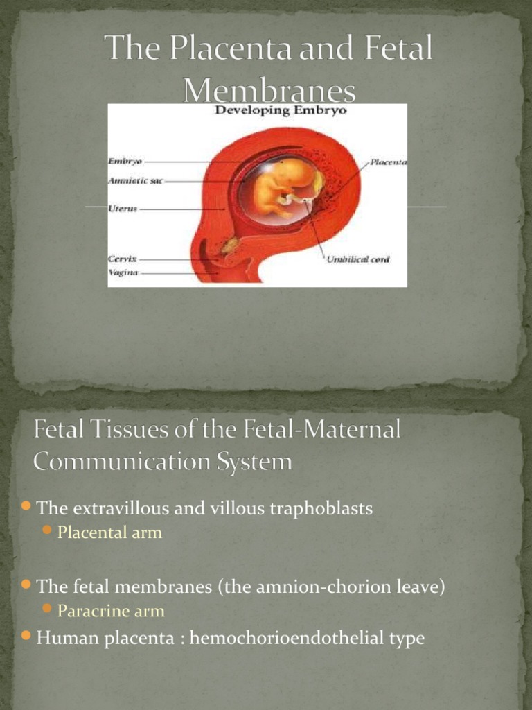 The Placenta and Fetal Membranes | PDF | Anatomy | Cell Biology