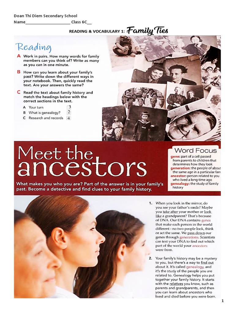 6C - Reading and Vocabulary 1 | PDF
