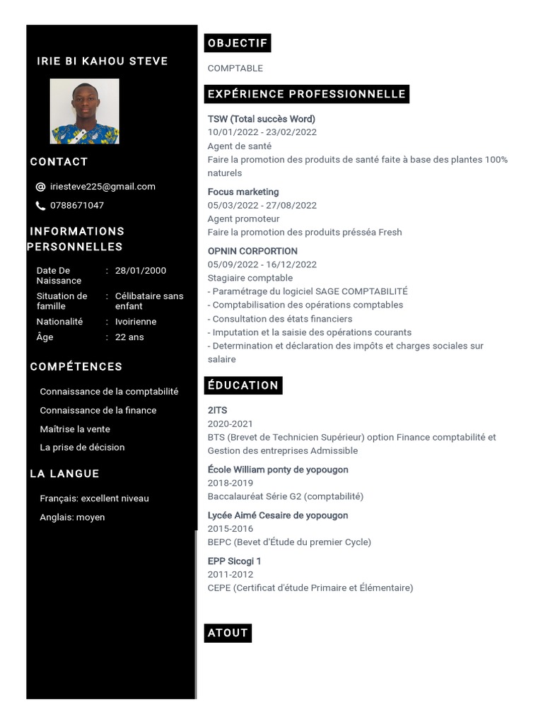 CV Comptable | PDF | Comptabilité | Business