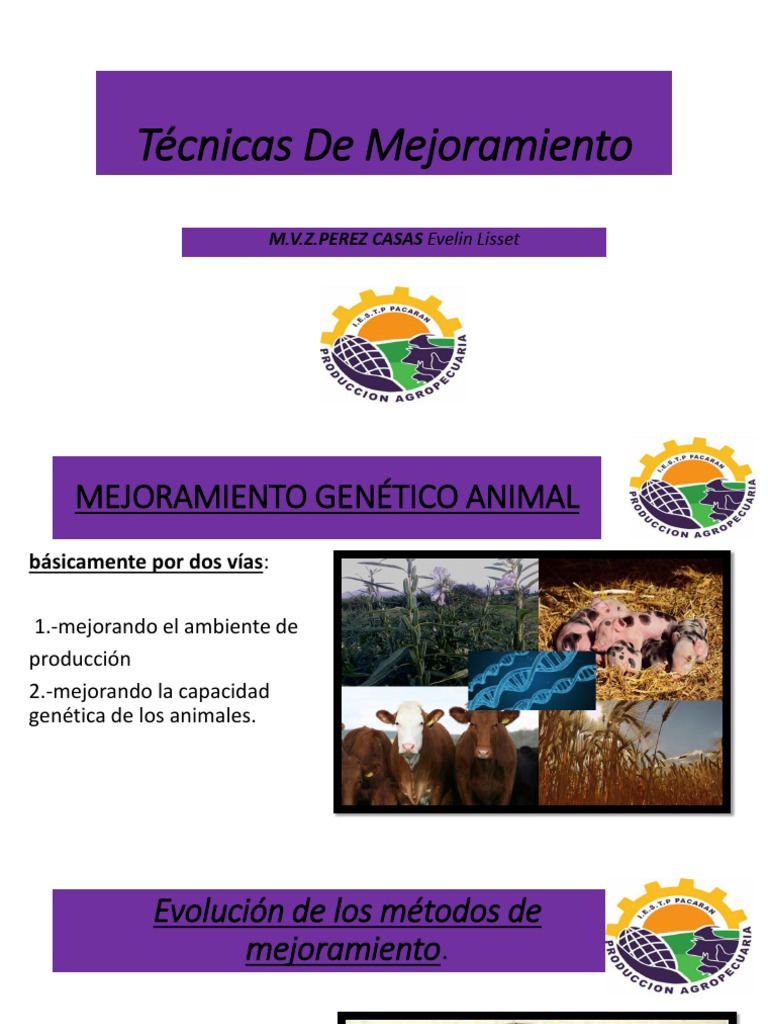 Técnicas de Mejoramiento Secion 01 | PDF | Crianza selectiva | Evolución Técnicas de Mejoramiento Secion 01 | PDF | Crianza selectiva | Evolución