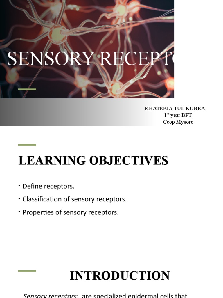 Sensory Receptors | PDF | Stimulus (Physiology) | Action Potential