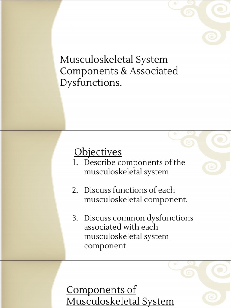 Lecture 2 - Myofascial - Fascia | PDF | Clinical Medicine | Anatomy