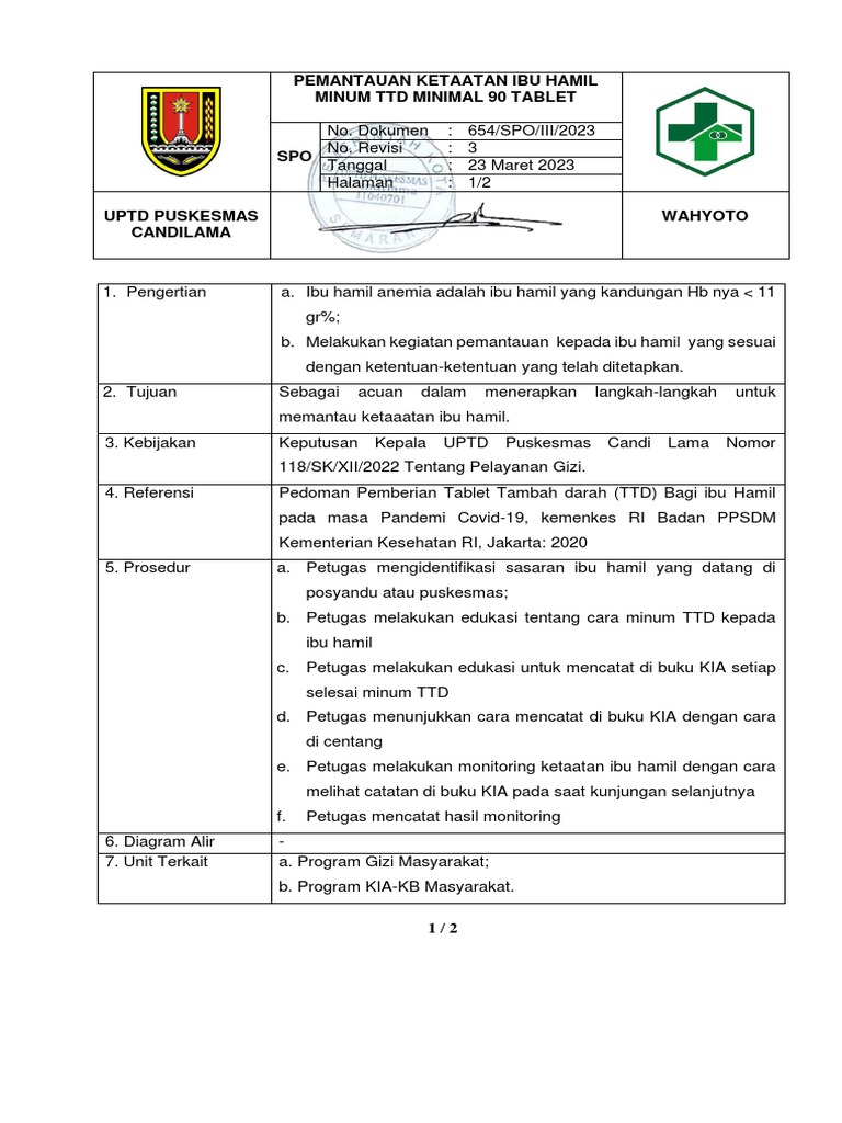 Pemantauan TTD Ibu Hamil Anemia | PDF
