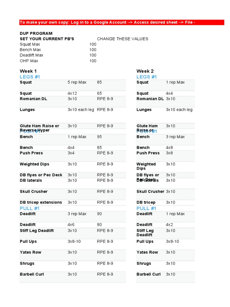 David Laid DUP Program Overview | PDF | Individual Sports | Management ...
