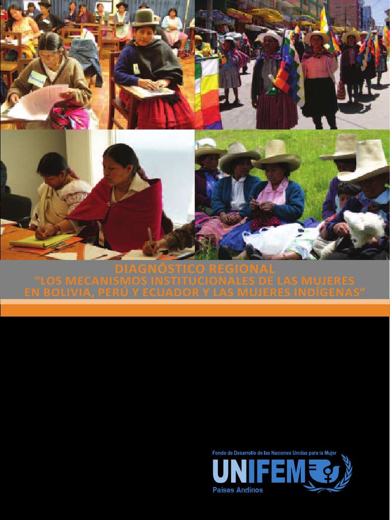 UNIFEM Diagnóstico Mecanismos Institucionales Mujeres en Bolivia y ...