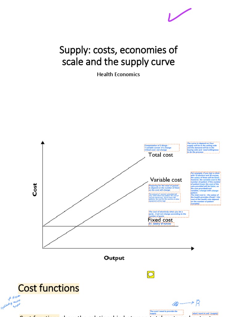 Chapter 6 Cost and Supply Curve | PDF | Supply (Economics) | Profit ...