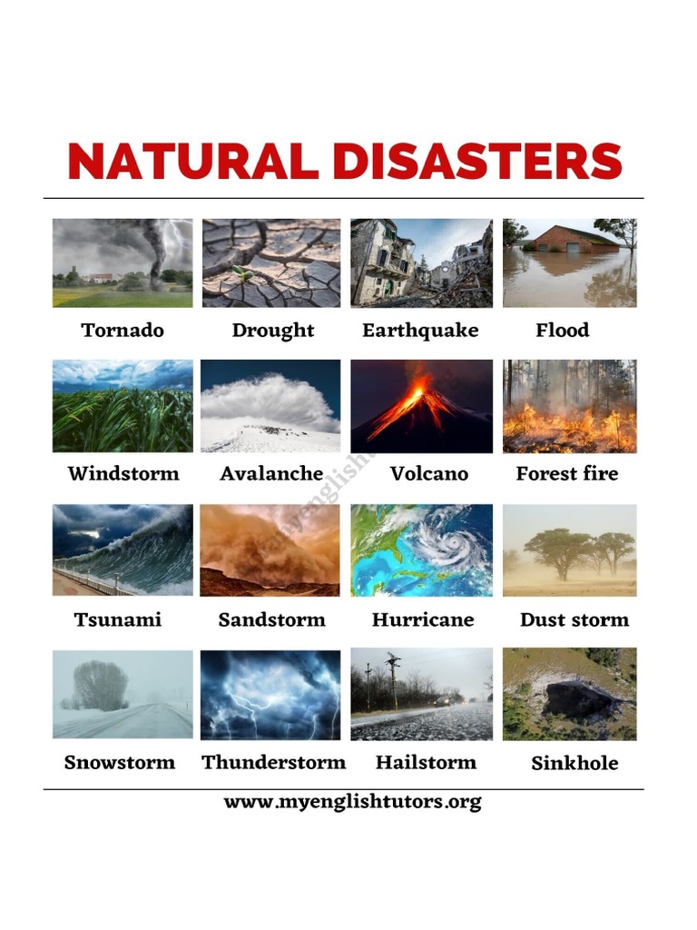 Natural Disaster | PDF
