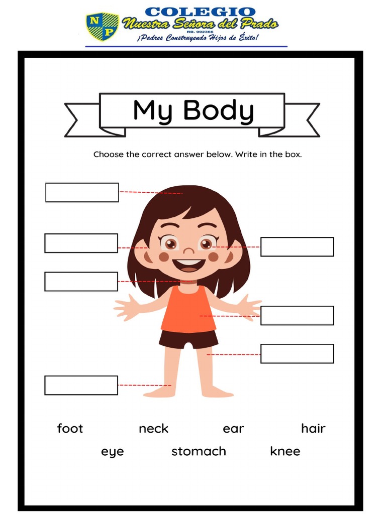 My Body Ficha de Aplicacion en Ingles | PDF