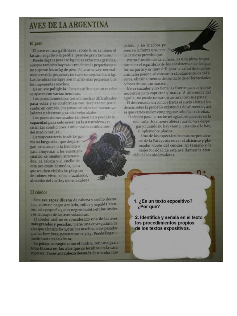 Texto Expositivo - Aves Argentinas | PDF