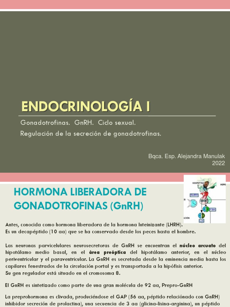 GnRH y su rol en endometriosis | PDF | Hormona luteinizante | Ciclo ...