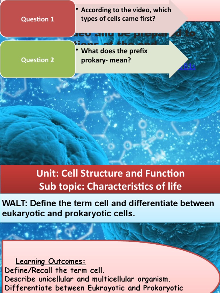 LS-2 Eukaryotic and Prokaryotic Cells PowerPoint | PDF