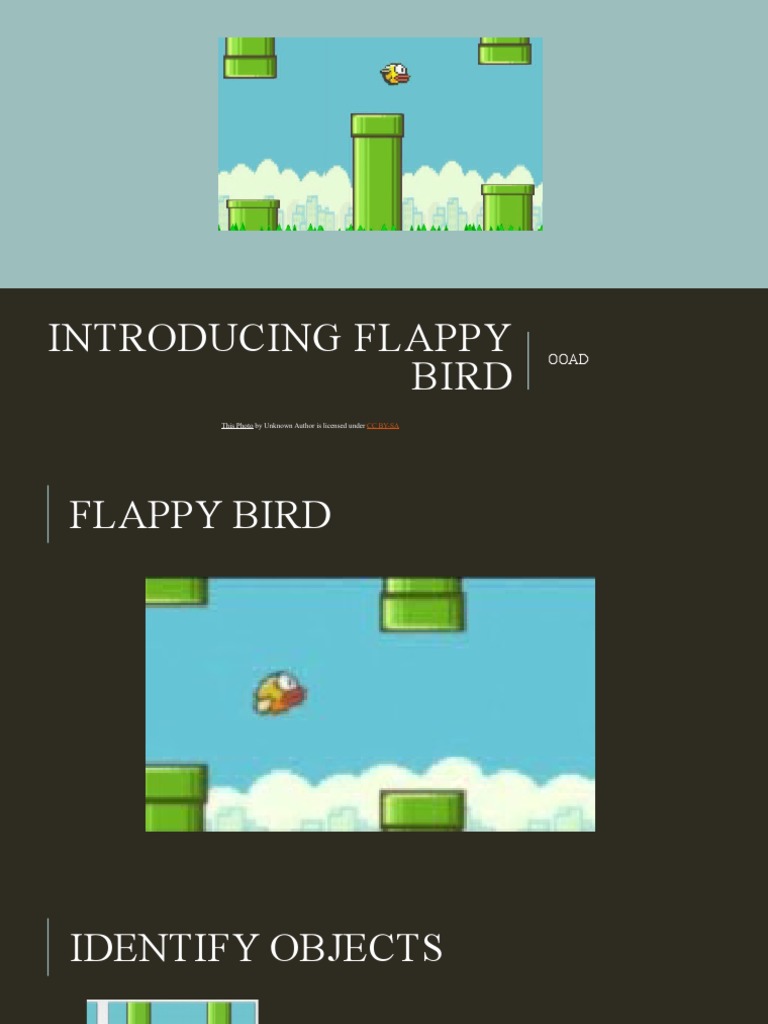 Introducing Flappy Bird | PDF