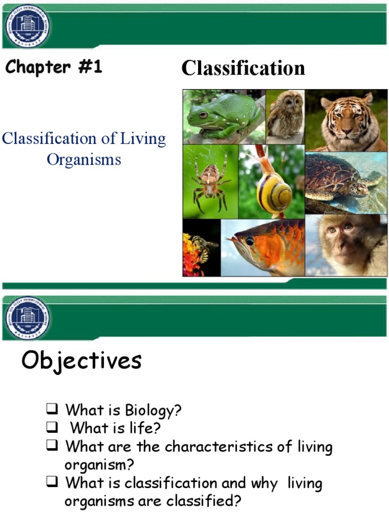 Intro to Biology & Classification | PDF | Plants | Cell (Biology)