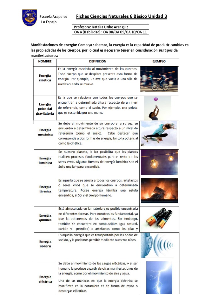 Fichas 6to Basico Unidad 3 | PDF