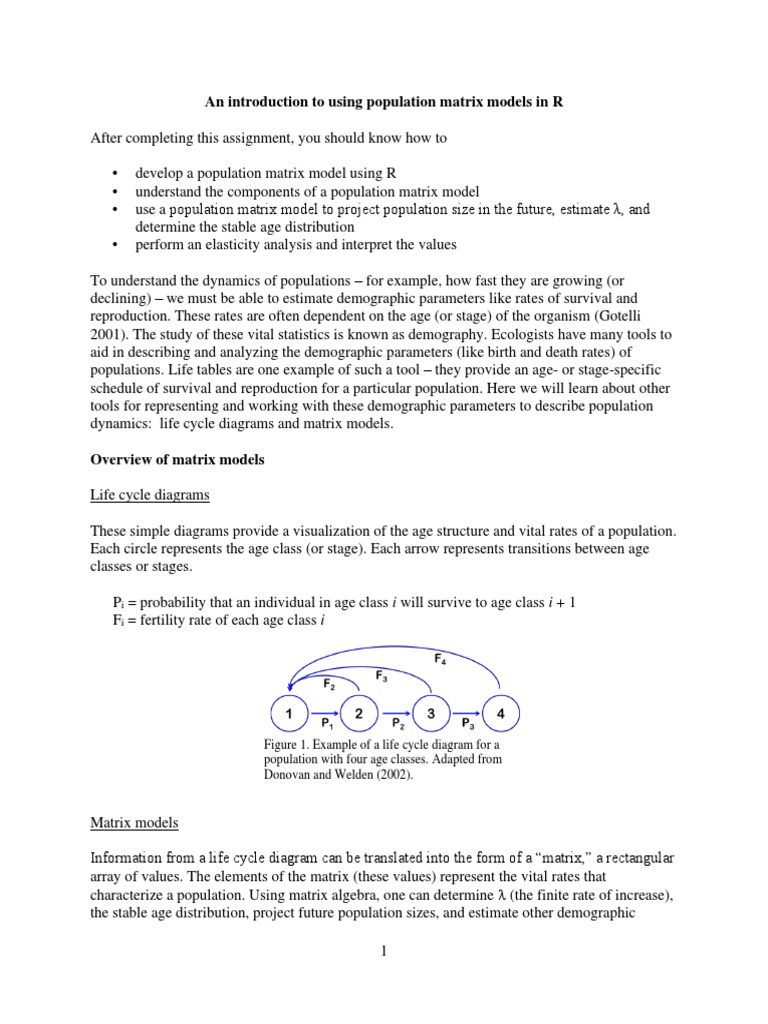 An Introduction To Using Population Matrix Models in R-6297 | PDF | Matrix (Mathematics ...