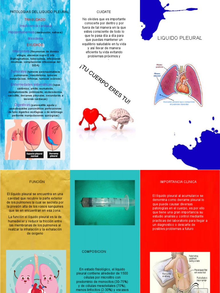 Liquido Pleural | PDF | Pulmón | Causas de la muerte