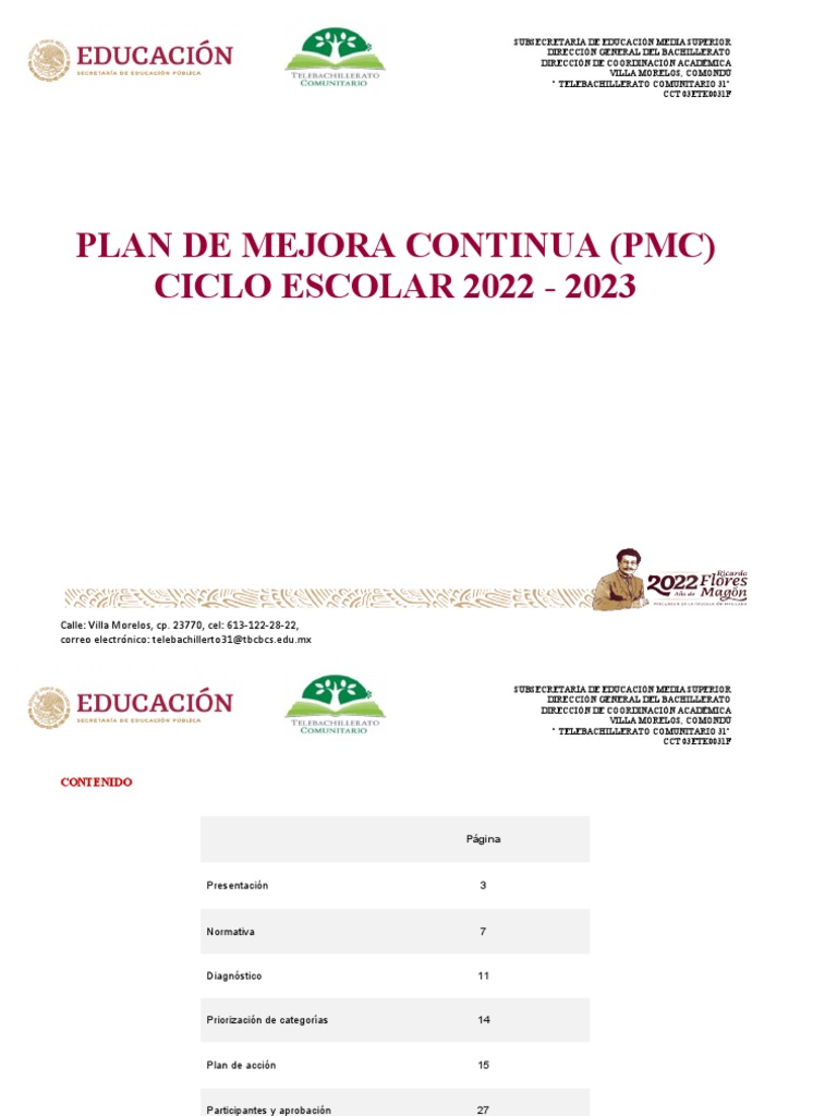 Formato PMC | Descargar gratis PDF | Enseñando | Educación Secundaria