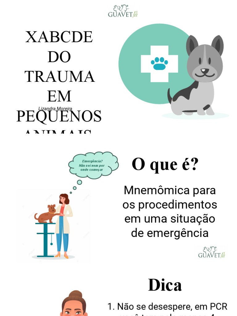 Xabcde Do Trauma | Download grátis PDF | Medicina Clínica | Causas de morte
