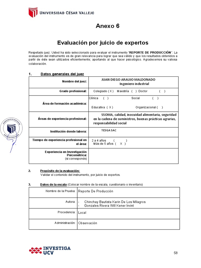 Juicio de Expertos - ANEXO 6 | PDF | Psicología industrial y organizacional