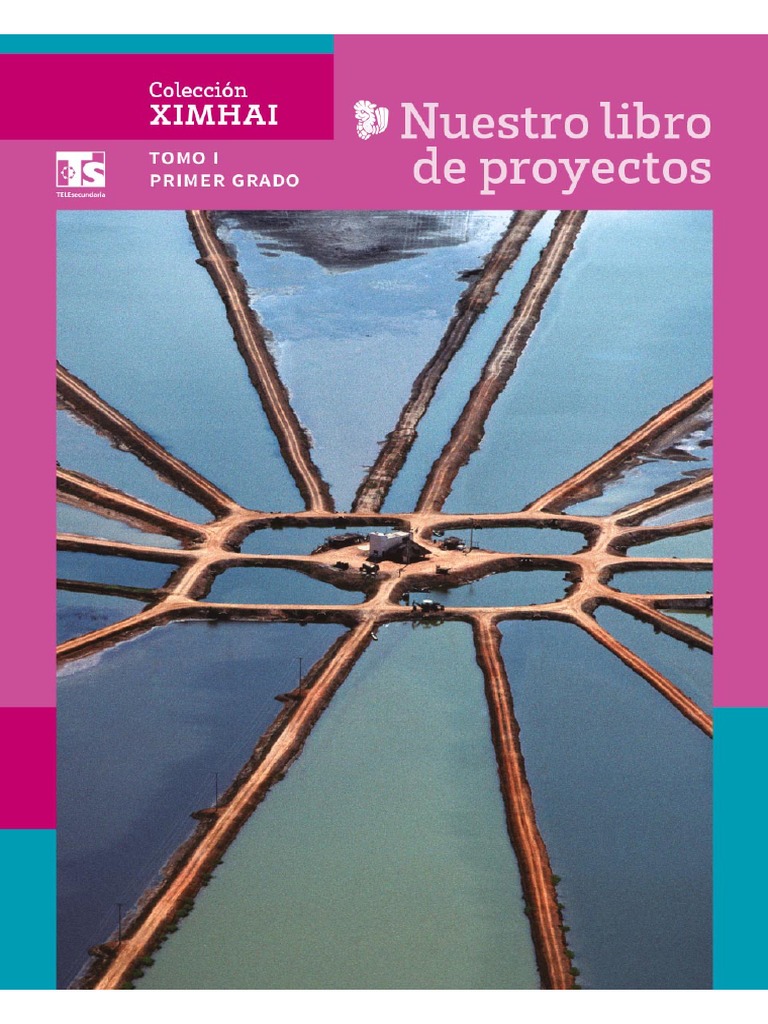 1° Telesecundaria - Nuestro Libro de Proyectos (Tomo I) | PDF