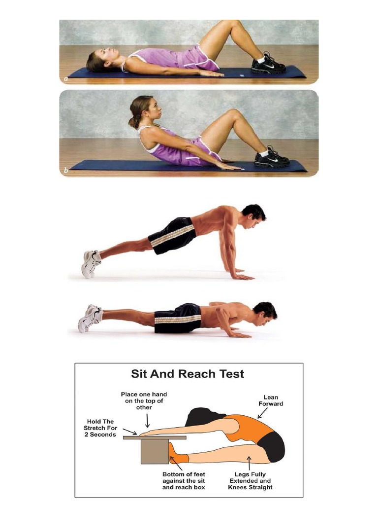 Yoga Class 12 Physical Education Photos | PDF