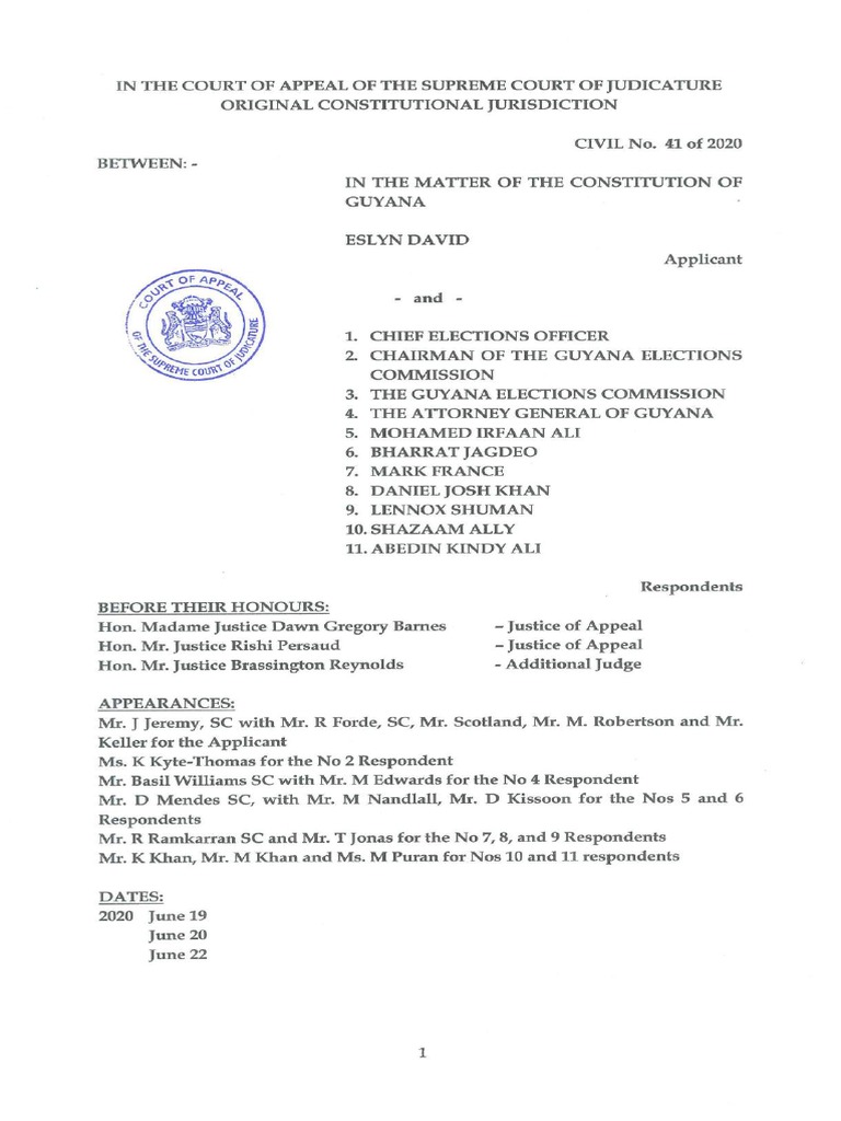 Eslyn David V Chief Election Officer and Others COA-compressed | PDF