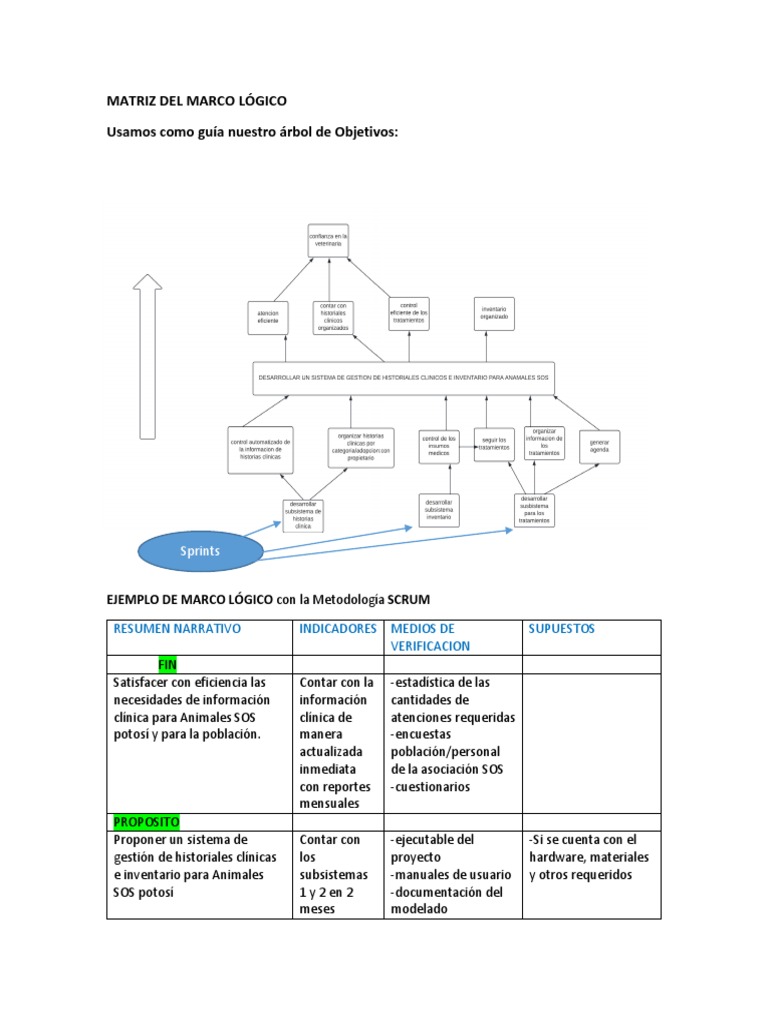 Marco Logico Ejemplo | PDF | Scrum (desarrollo de software) | Business