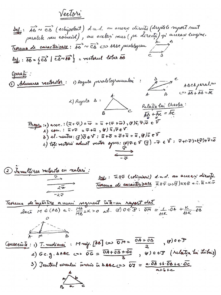 Vectori BAC - Teorie | PDF