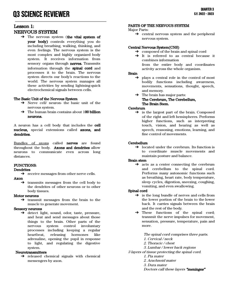 Q3 Science Reviewer - Popo | PDF | Menstrual Cycle | Rna