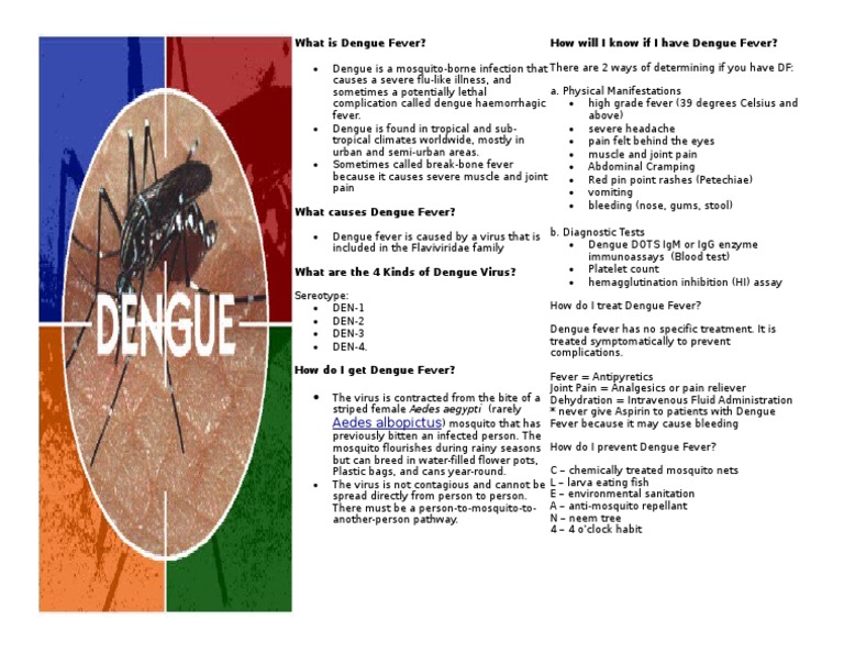 Dengue Fever: Symptoms and Risks | PDF