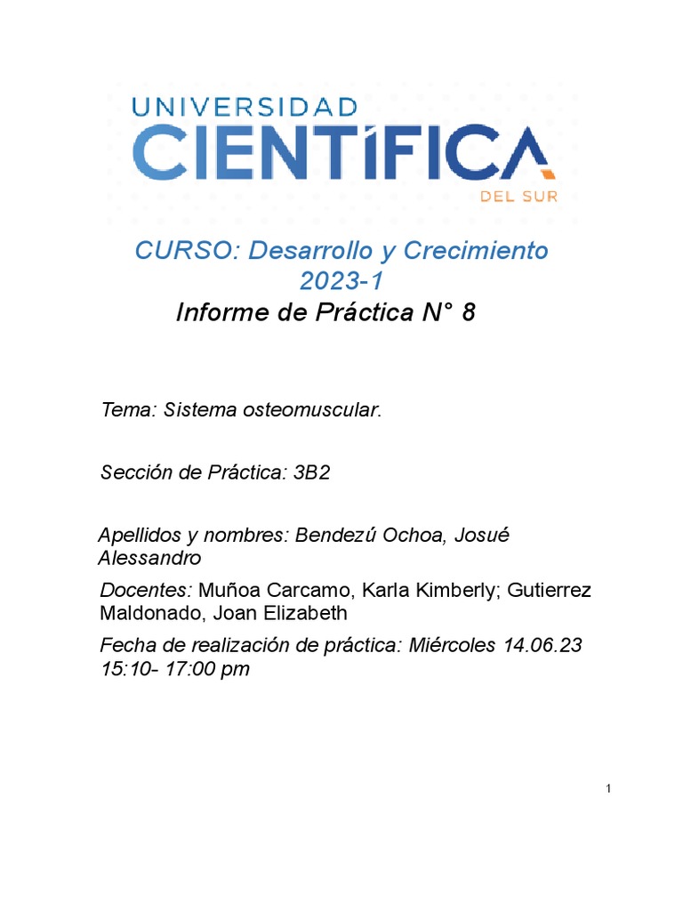 Informe 8 | PDF | Hueso | Cráneo