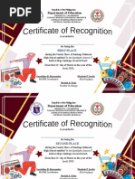 Dfot Certificate of Recognition | PDF