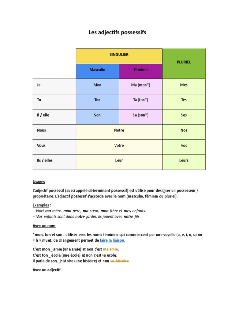 Les Adjectifs Possessif 2 | PDF
