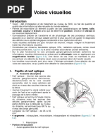 ANATOMIE DU TRACTUS OPTIQUE Zio | PDF | Thalamus | Système nerveux