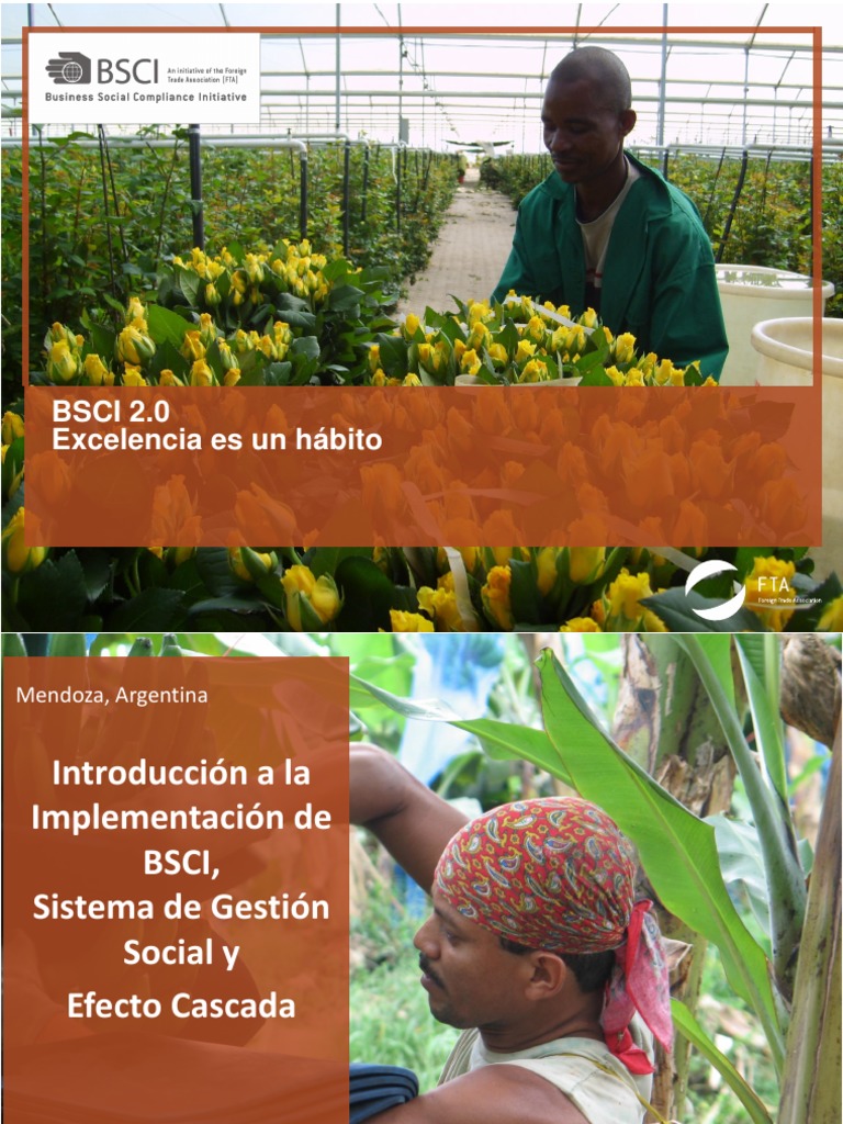 Introduction To The BSCI Implementation Social Management System and ...