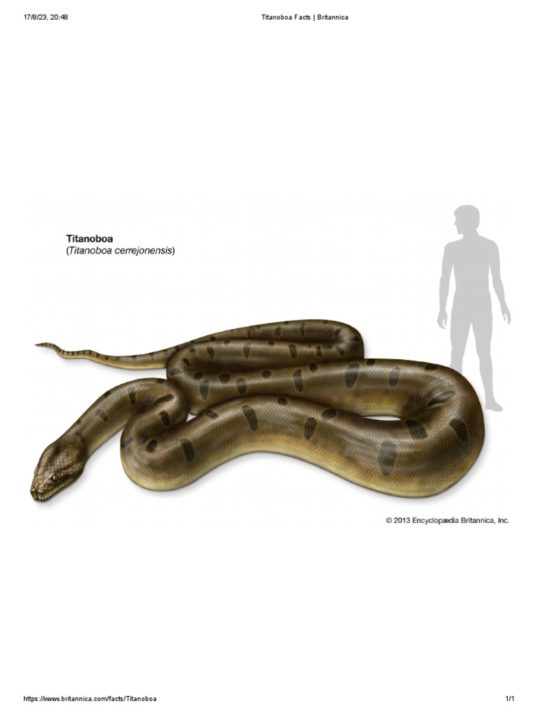 Titanoboa Facts - Britannica | PDF