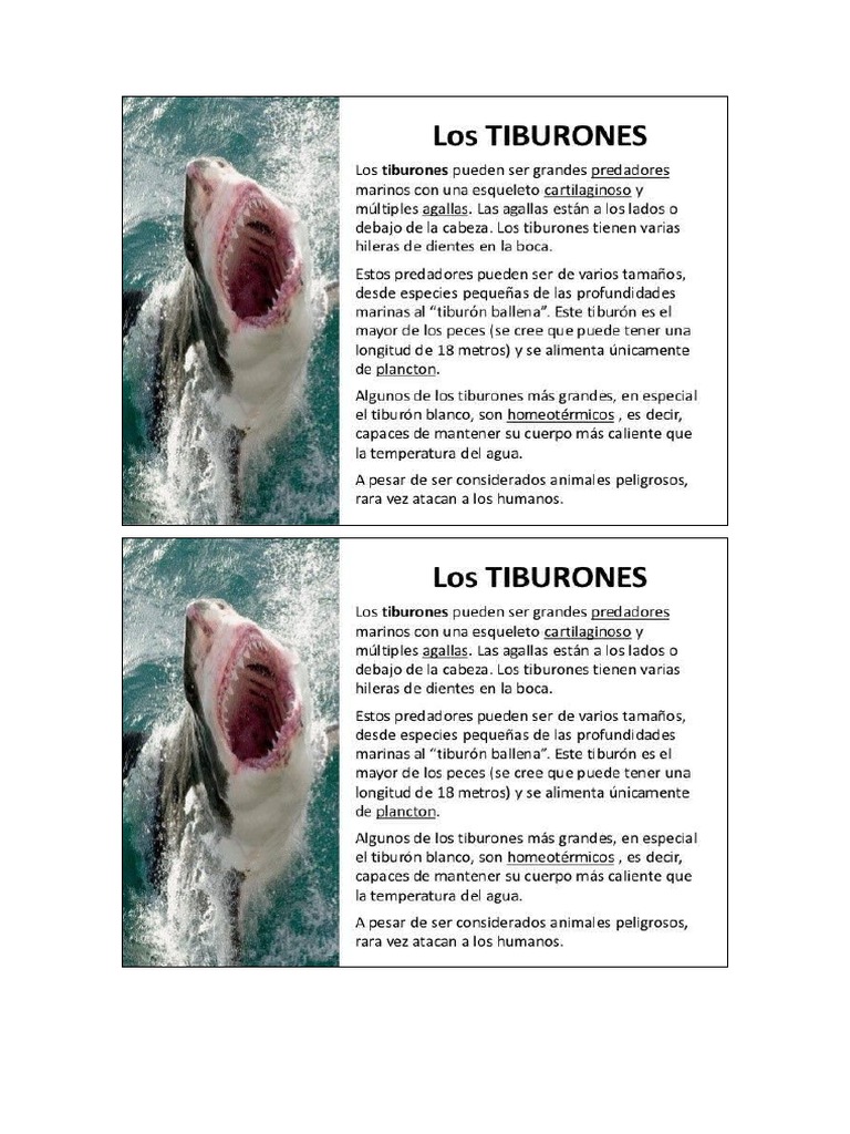 Ejemplo de Texto Expositivo 8vo | PDF