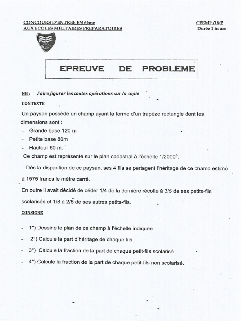 Ceemp Probleme | PDF