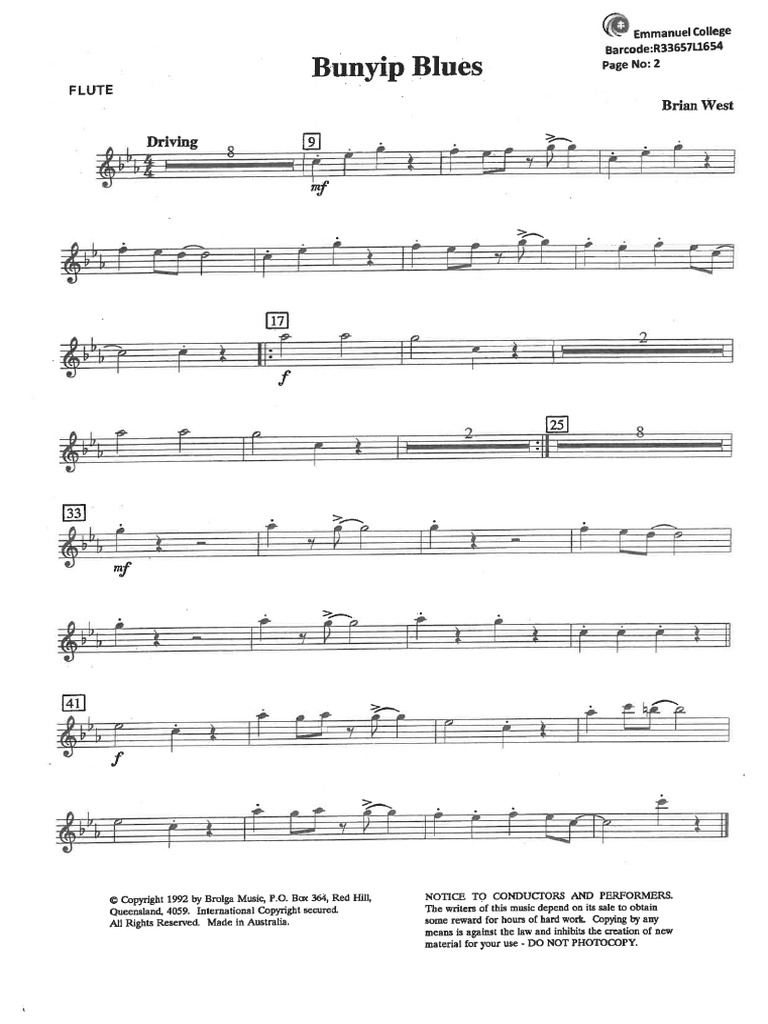 Bunyip Blues Parts | PDF