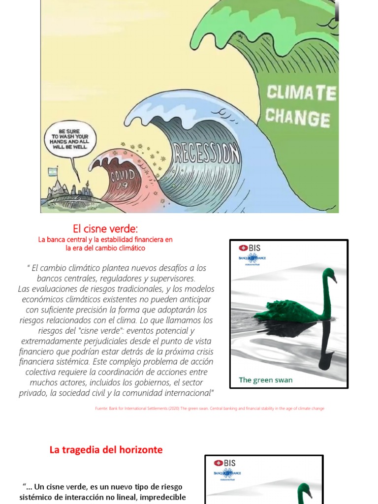 Presentaci N 2 | PDF | Mercado (economía) | Monopolio