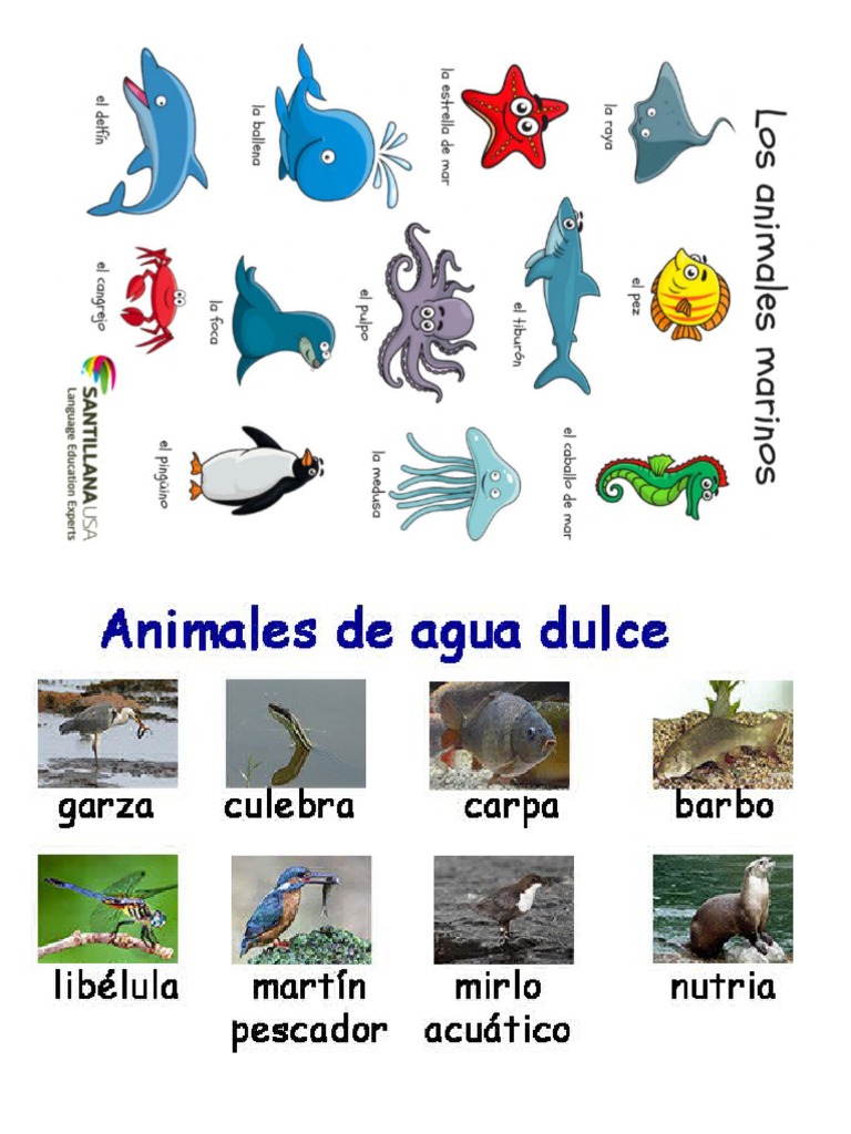 ANIMALES MARINOS AGUA DULCE Y SALADA | PDF