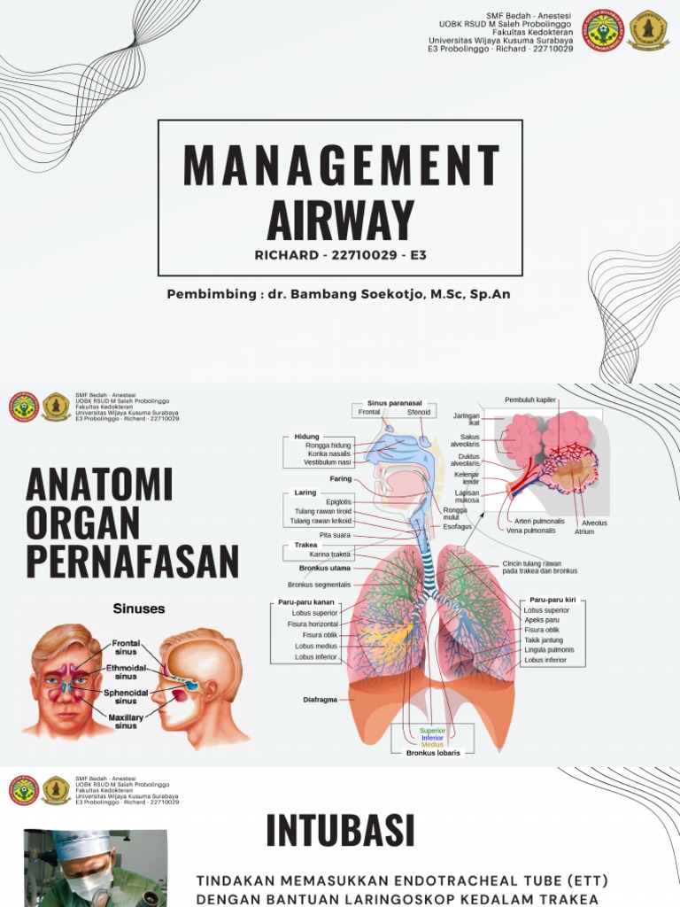 Management Airway | PDF