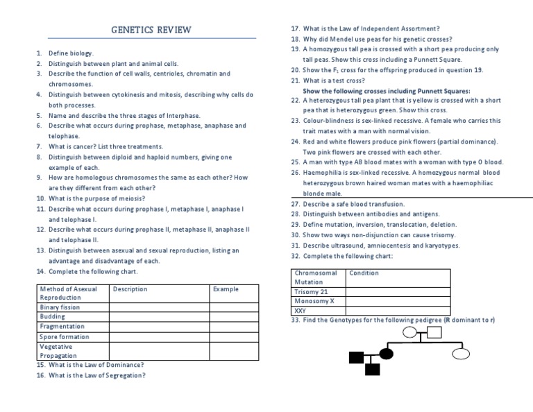 Genetics Review Sheet | PDF | Meiosis | Dominance (Genetics)
